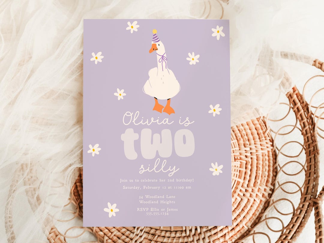 Two Silly Goose Birthday Invitation, Girl 2nd Birthday Silly Goose ...