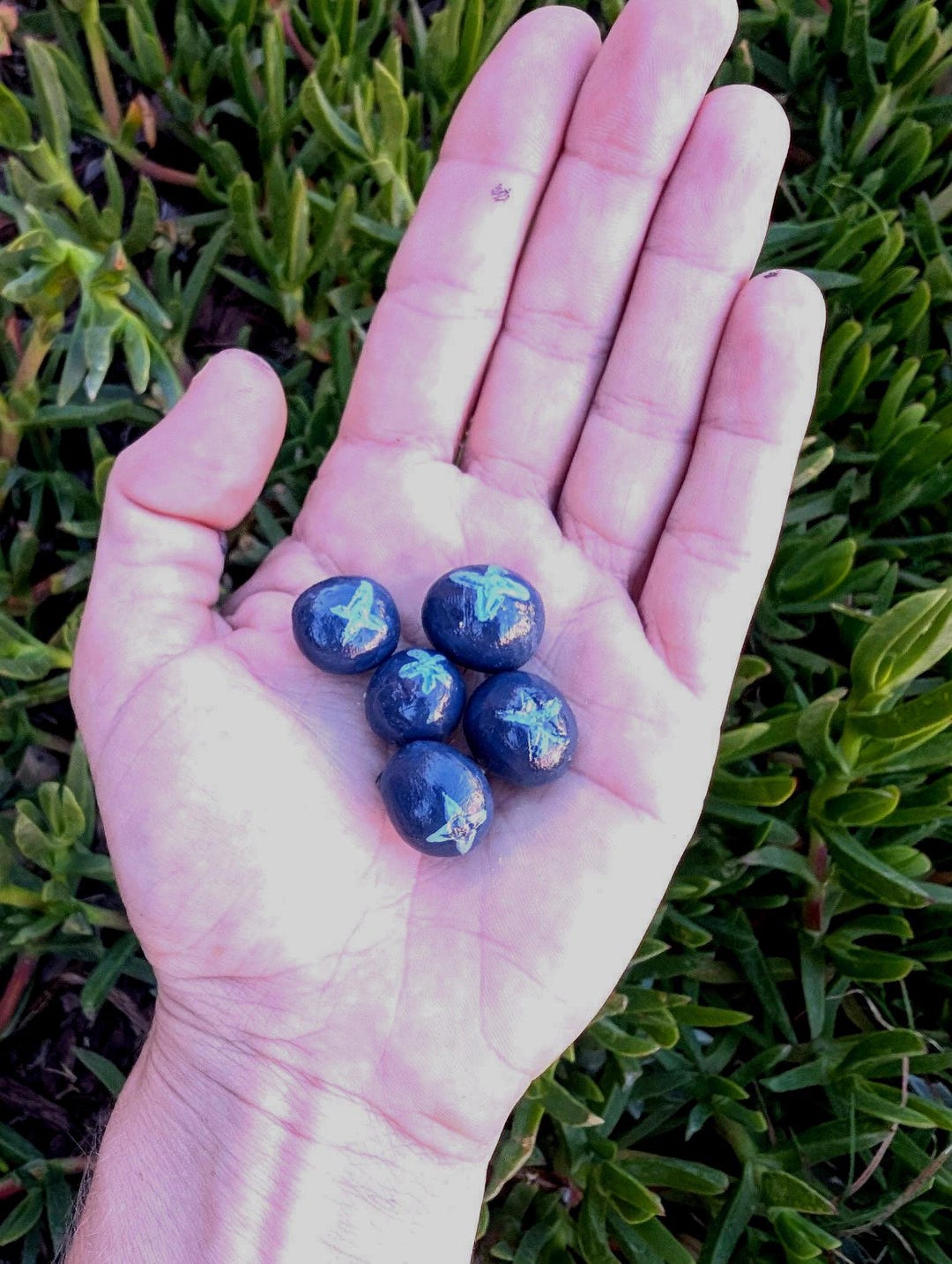 Handmade Blueberry Fridge Magnets – Set of 5 Cute Fruit Magnets for ...