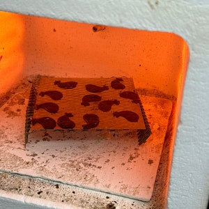 Phlogopite Mica Windows All Natural, Translucent Amber & Smoke Color ...