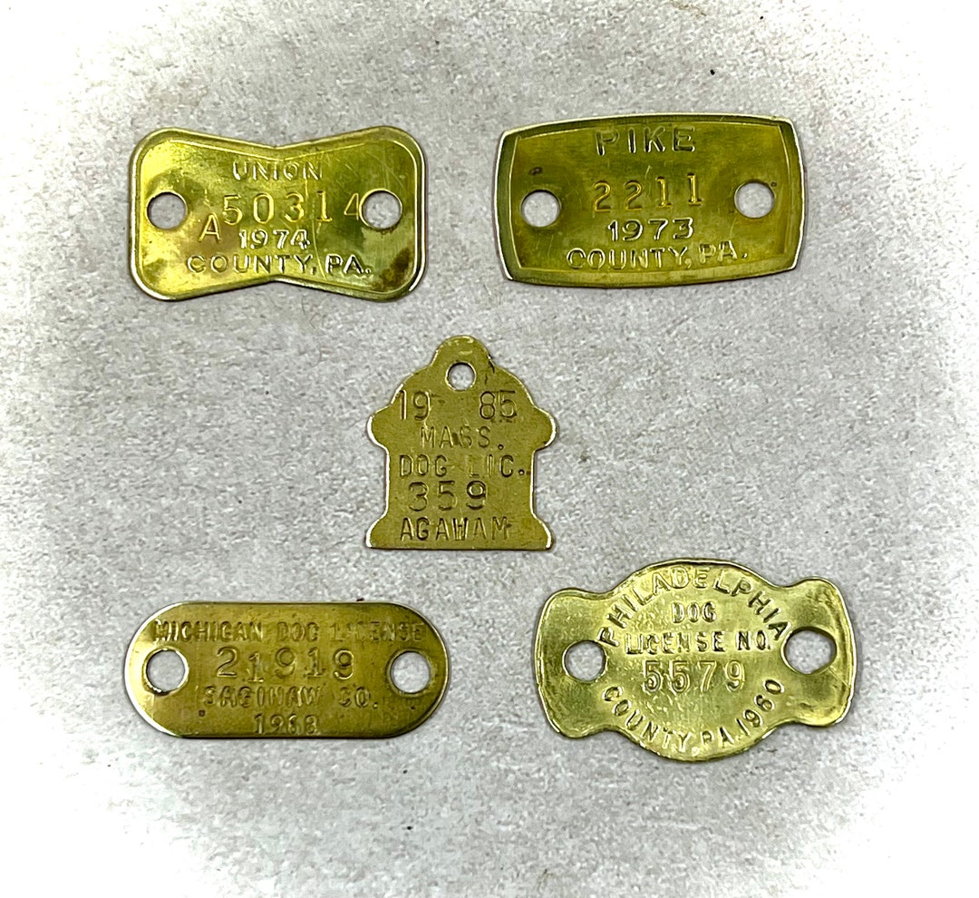 Vintage Brass Original Dog License Tag Grouping. 1960’s - 1980’s, Craft ...