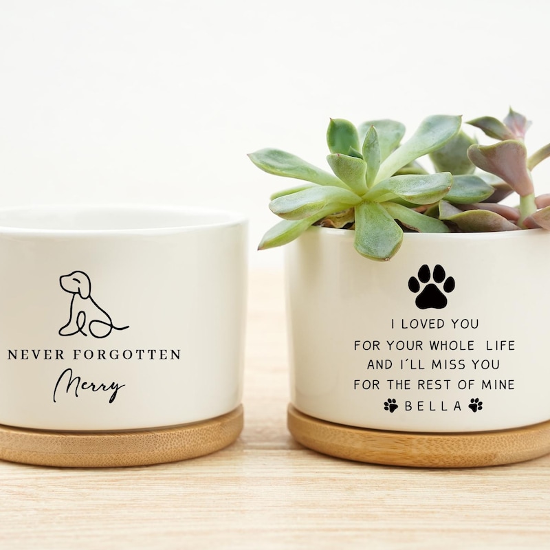 Dog Gift Plant - 60+ Gift Ideas for 2026
