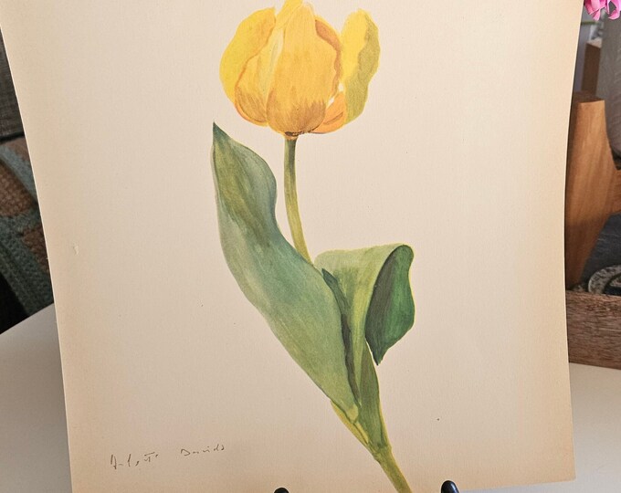 Vintage Botanical Prints 1940s From Paris, France Tulips Arlette Davis ...