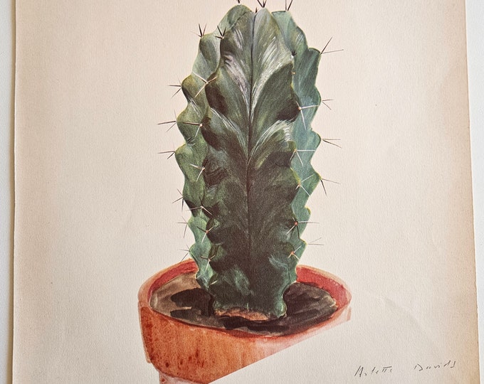 Vintage Botanical Prints 1930s From Paris, France Arlette Davis Vintage ...