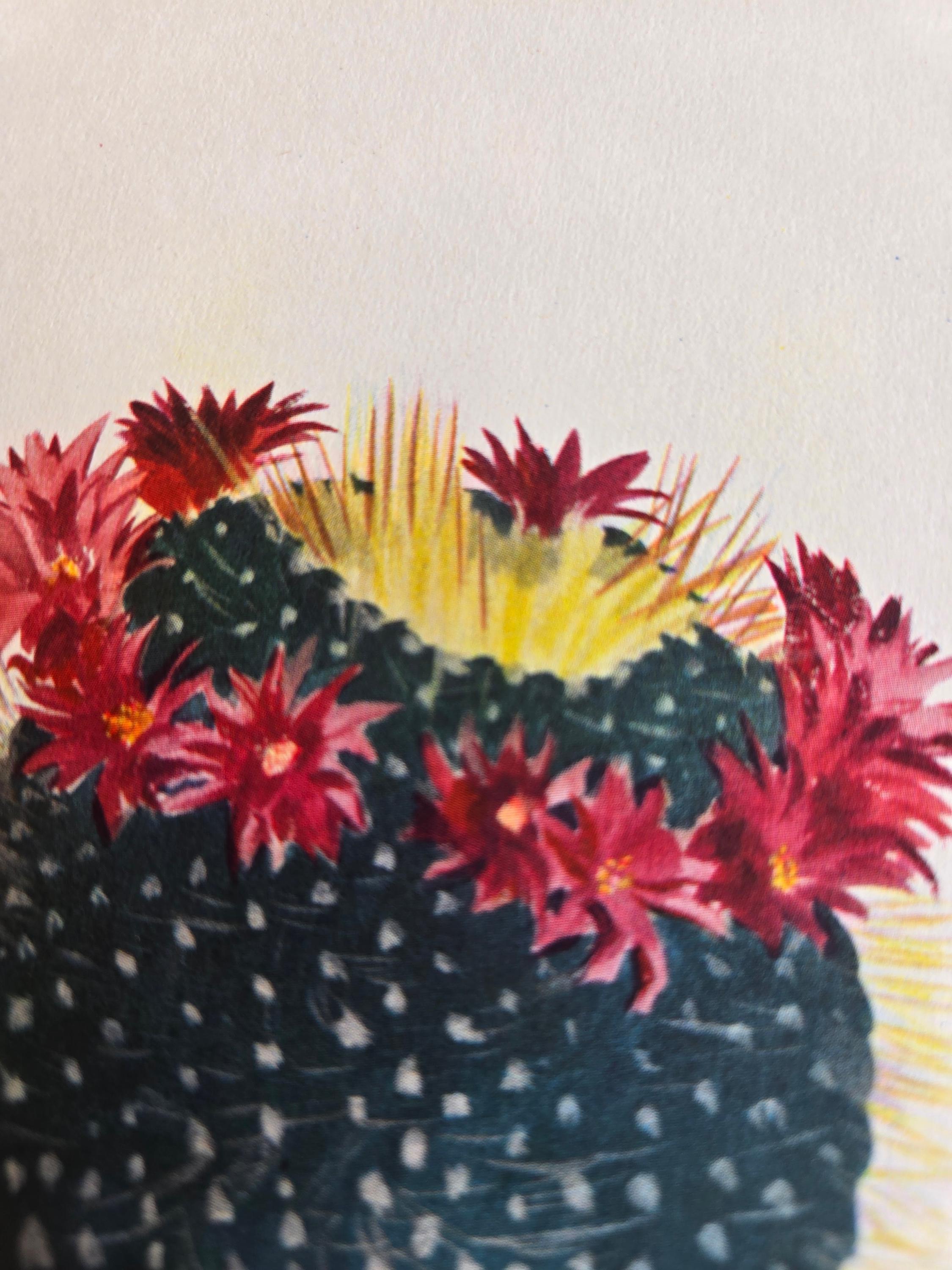 Vintage Botanical Prints 1930s From Paris, France, Arlette Davis ...
