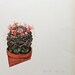 Vintage Botanical Prints 1930s From Paris, France Arlette Davis Vintage ...