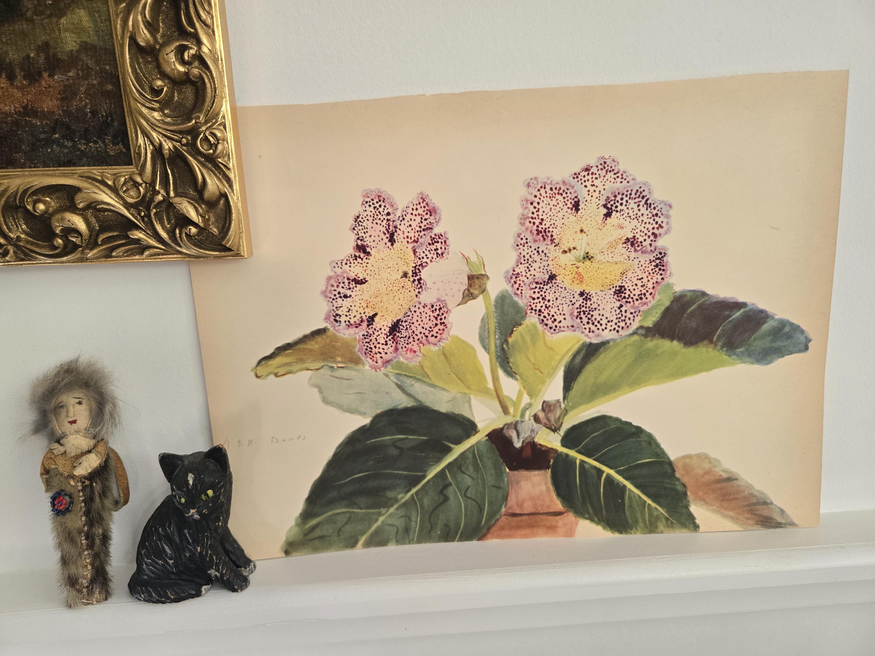 Vintage Botanical Prints 1940s From Paris, France Hybrid Gloxina ...