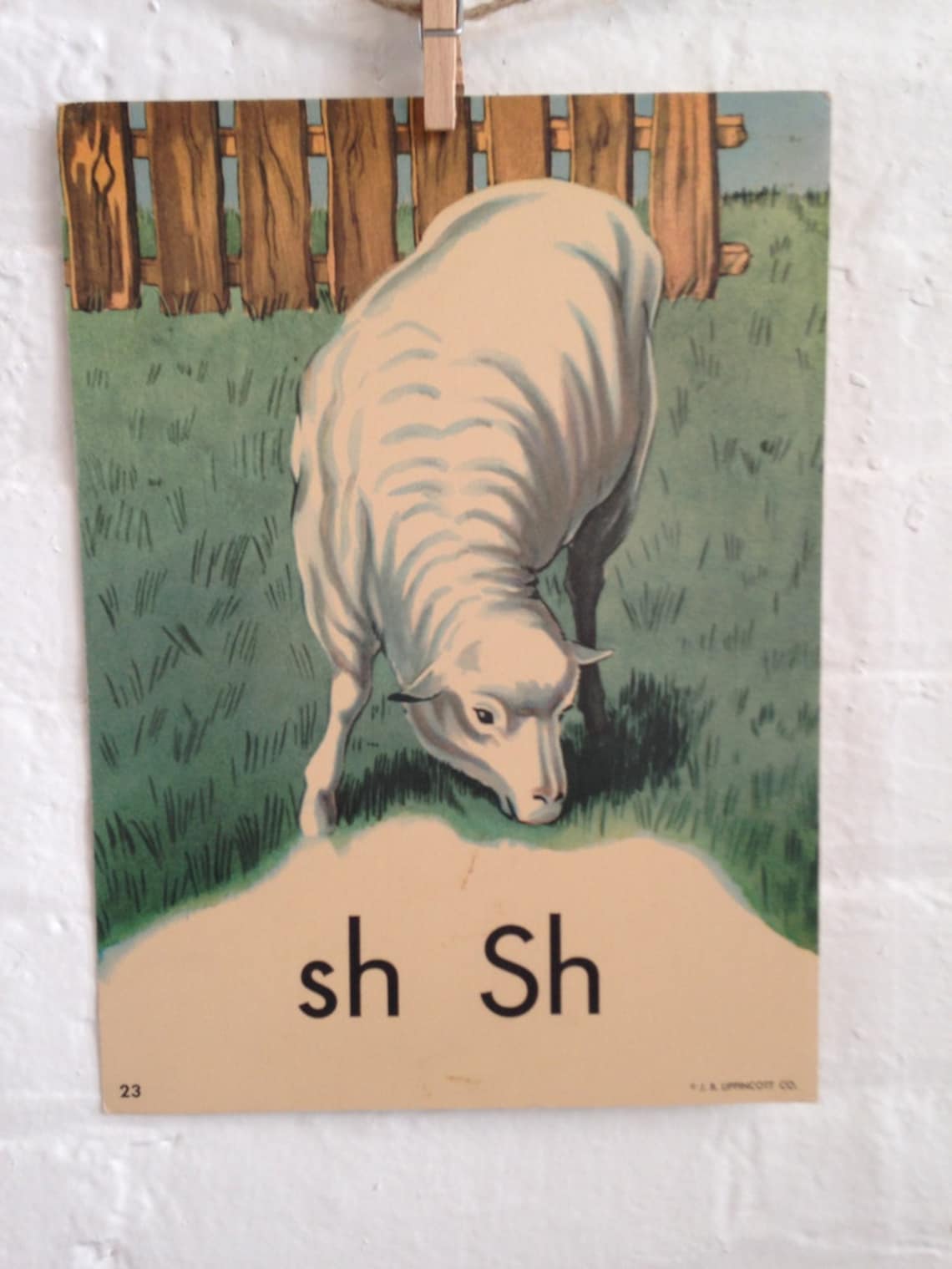 Vintage Large Flashcard Sh if for Sheep Picture Flashcard | Etsy