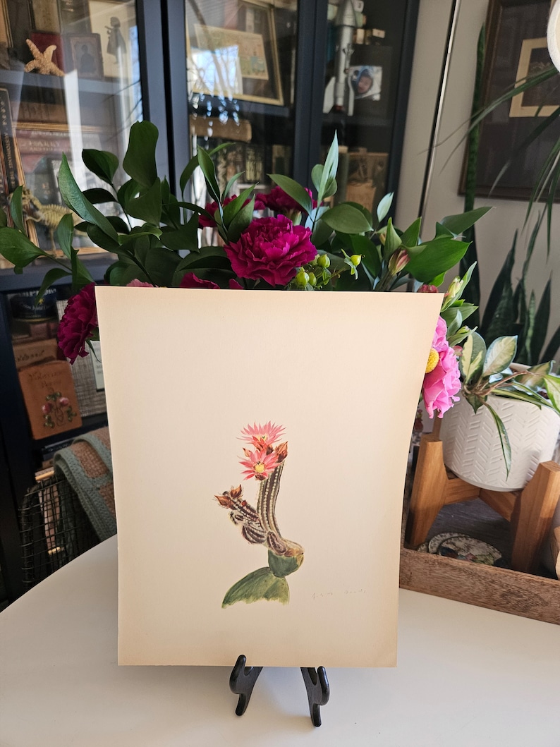 Vintage Botanical Prints 1930s From Paris, France Arlette Davis Vintage ...