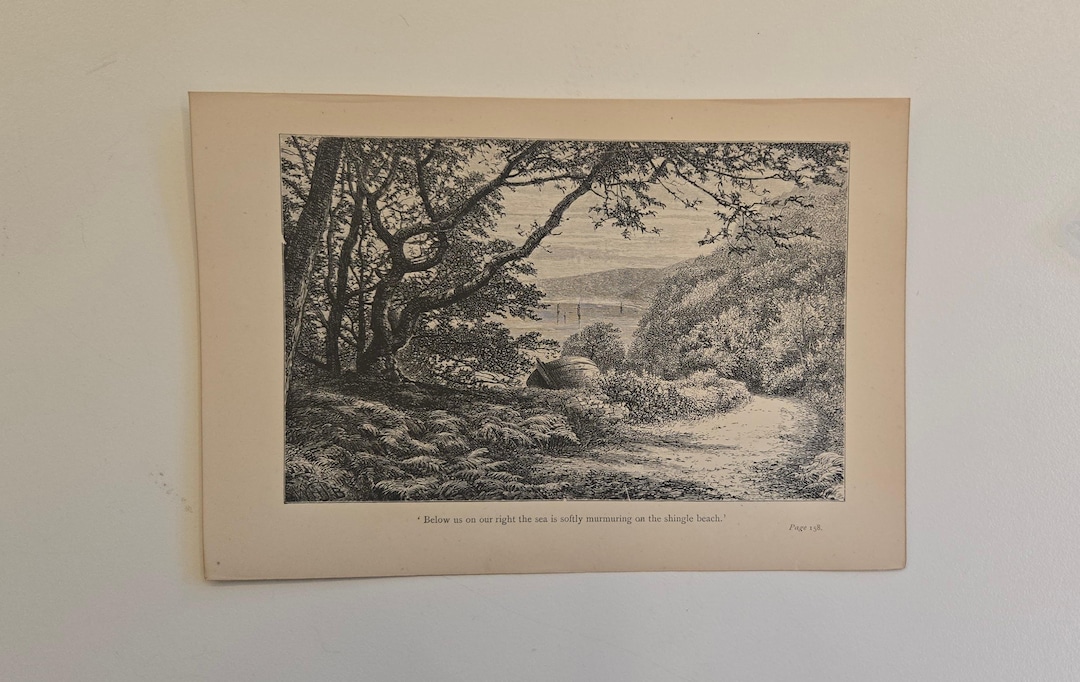 1878 Antique Fern Engraving – Victorian Botanical Beach and Sea Scene ...