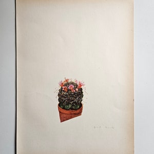 Vintage Botanical Prints 1930s From Paris, France Arlette Davis Vintage ...