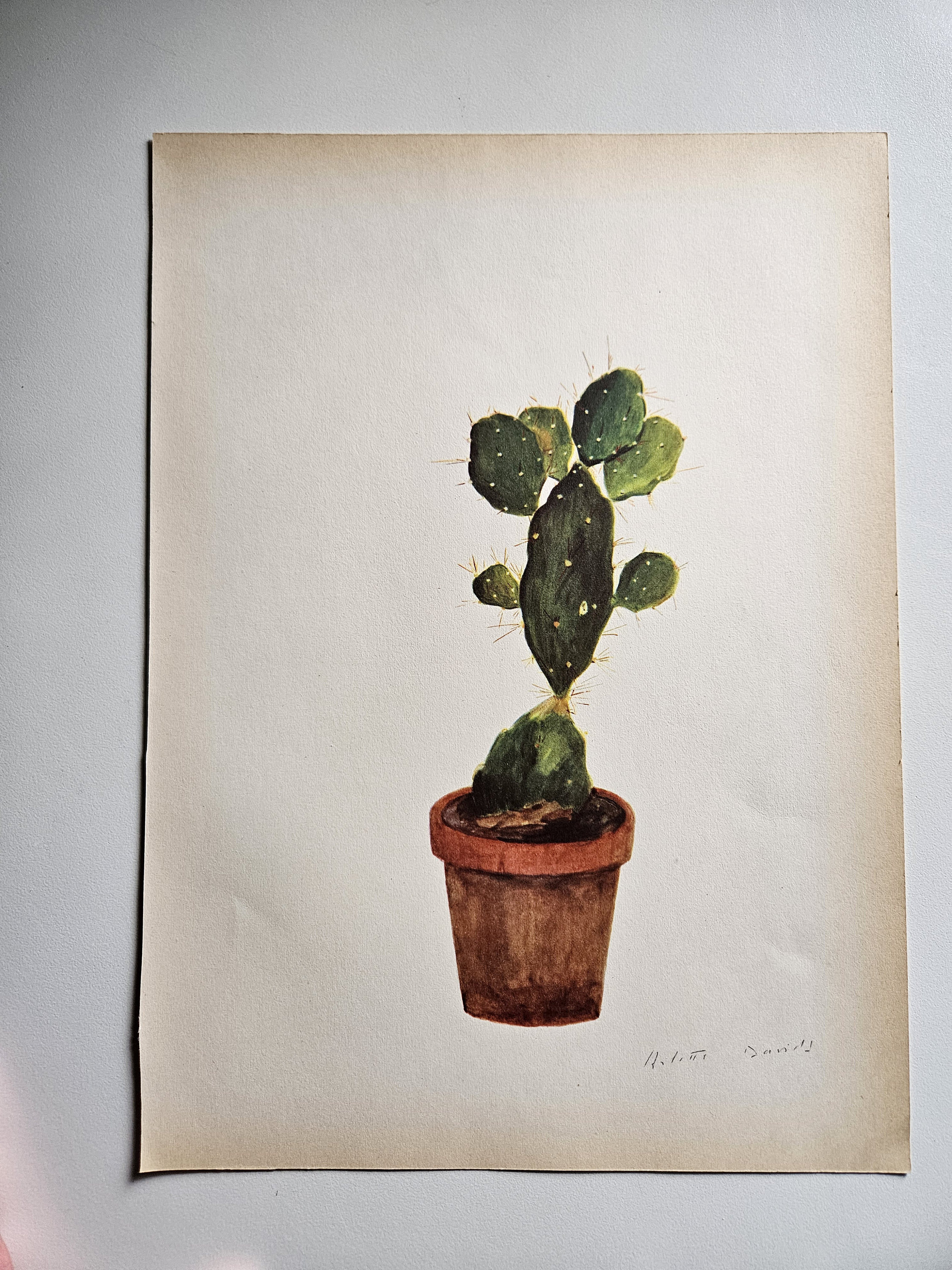Vintage Botanical Prints 1930s From Paris, France Arlette Davis Vintage ...
