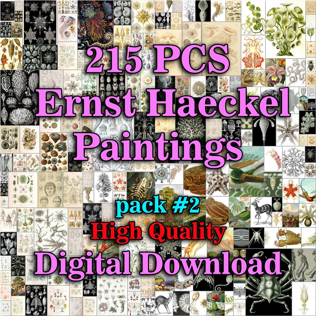 Ernst Haeckel, Antique Shell Art, Tropical Fish Poster, Plankton ...