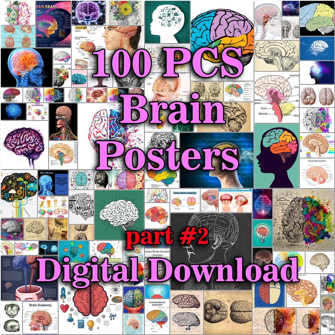 Brain Decor, Brain Illustration, Brain Map, Brain Health, Brain ...