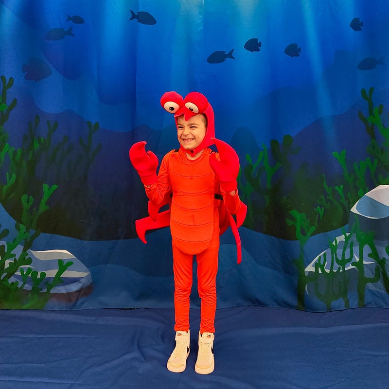 Crab Costume - Etsy