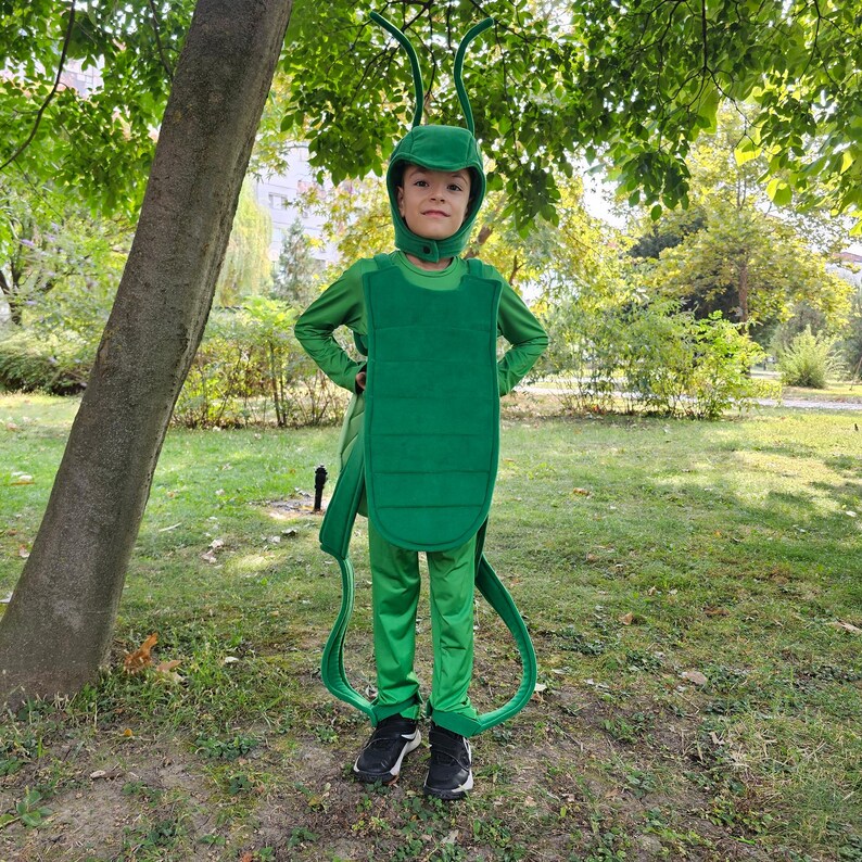 Children's Cricket Party Costume, Party Dress for Kids, True Crickets ...