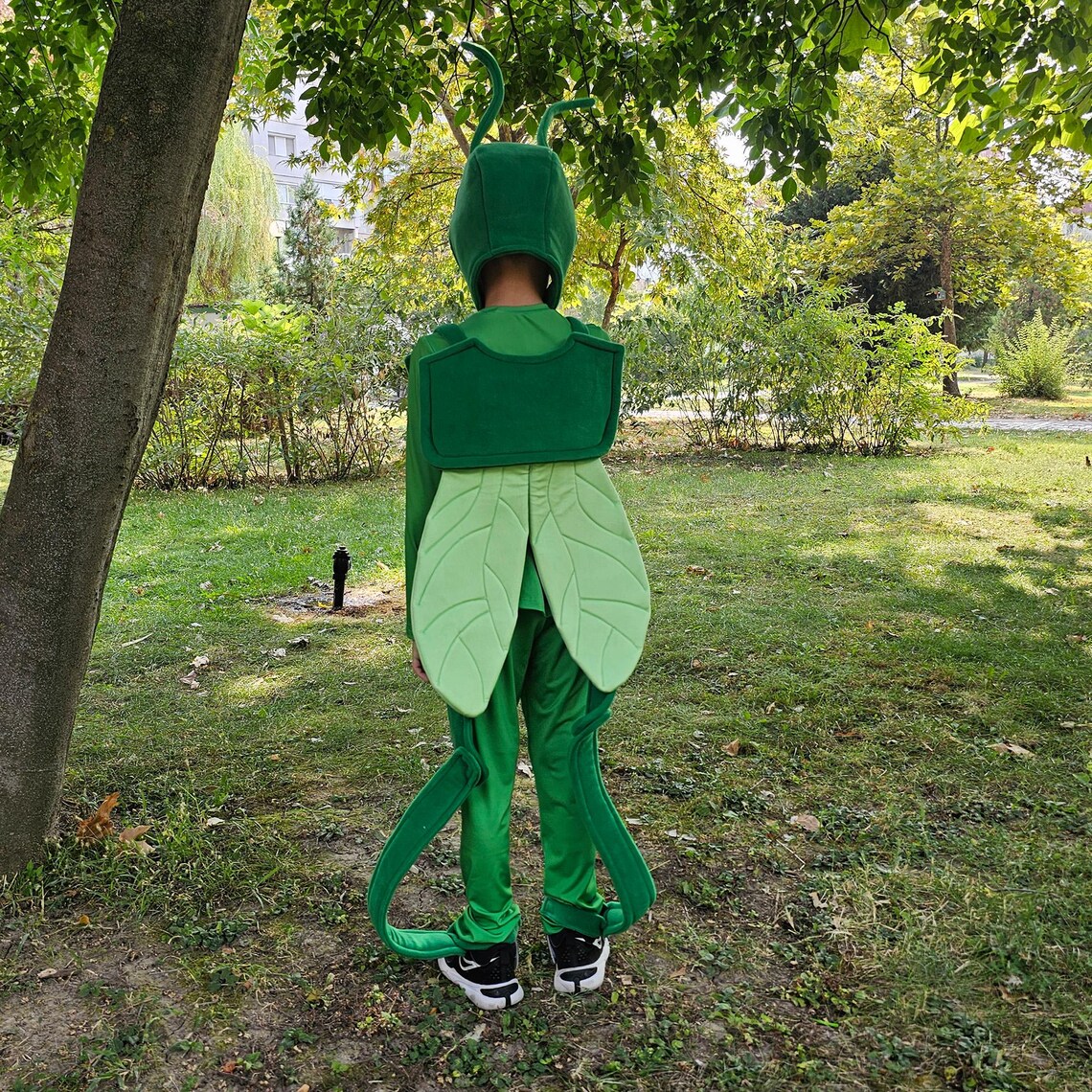 Children's Cricket Party Costume, Party Dress for Kids, True Crickets ...