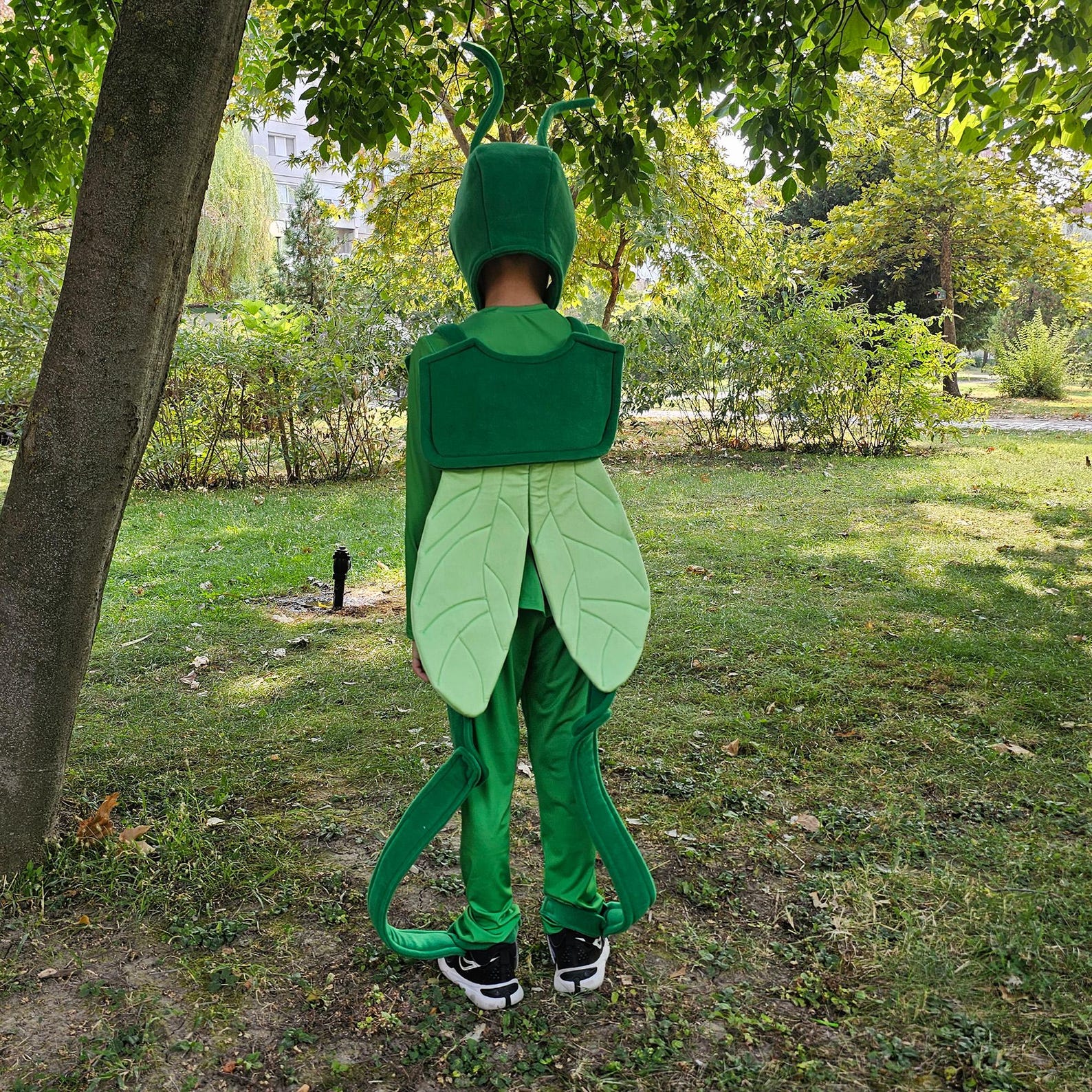 Children's Cricket Party Costume, Party Dress for Kids, True Crickets ...