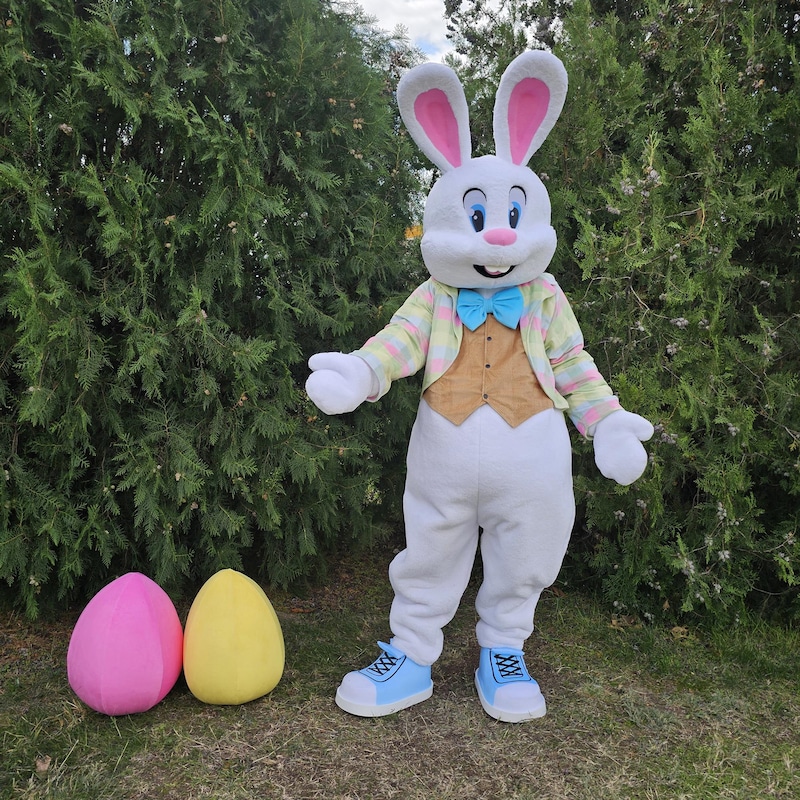Professional Easter Bunny Costume - Etsy