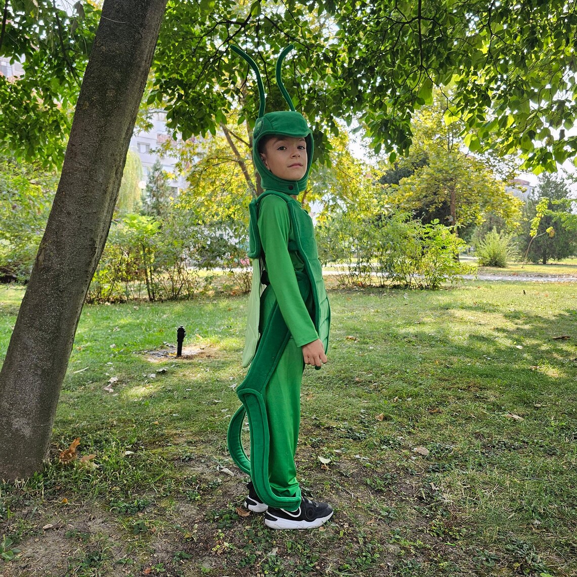 Children's Cricket Party Costume, Party Dress for Kids, True Crickets ...