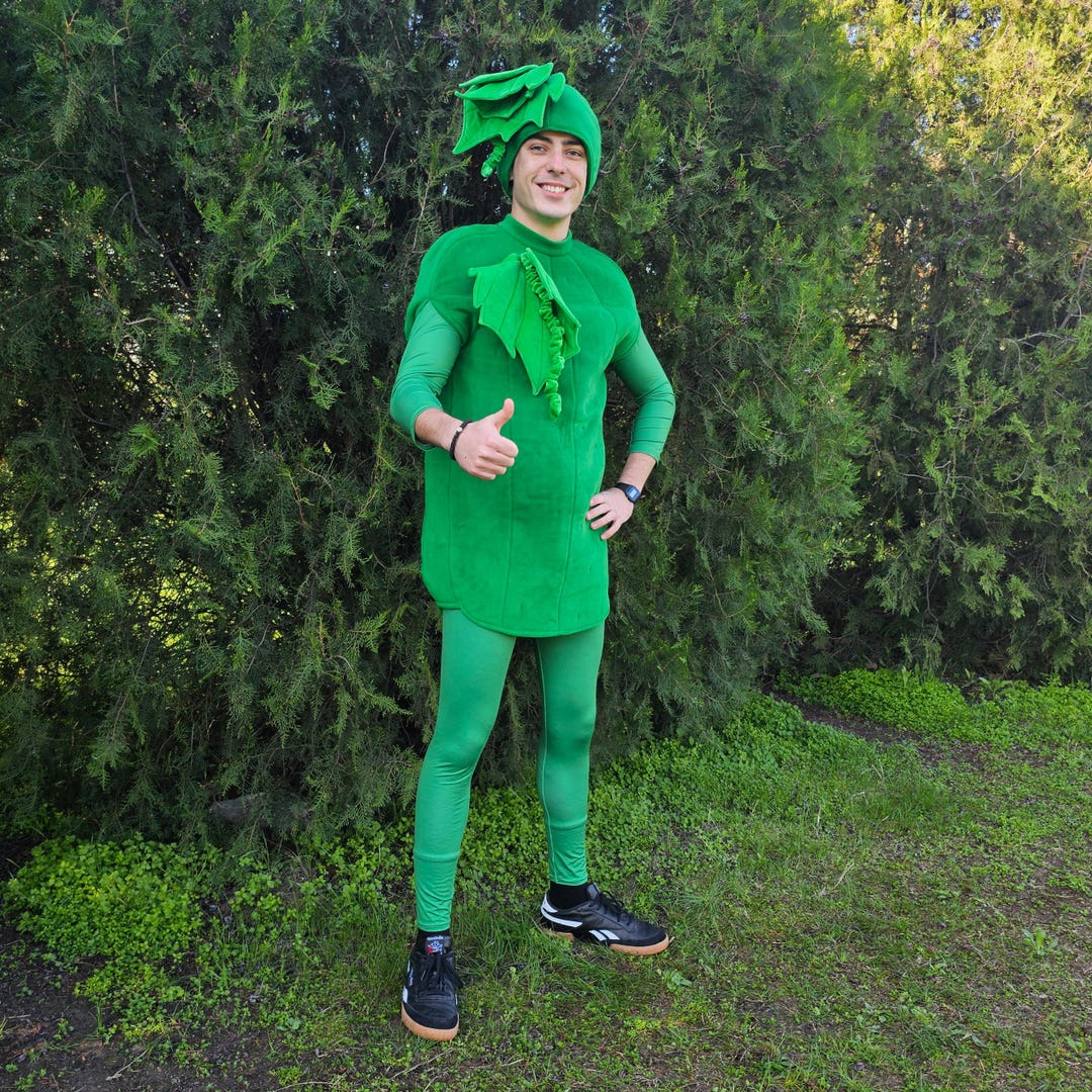 Adult Cucumber Halloween Costume: 4-piece Vegetable Suit - Etsy