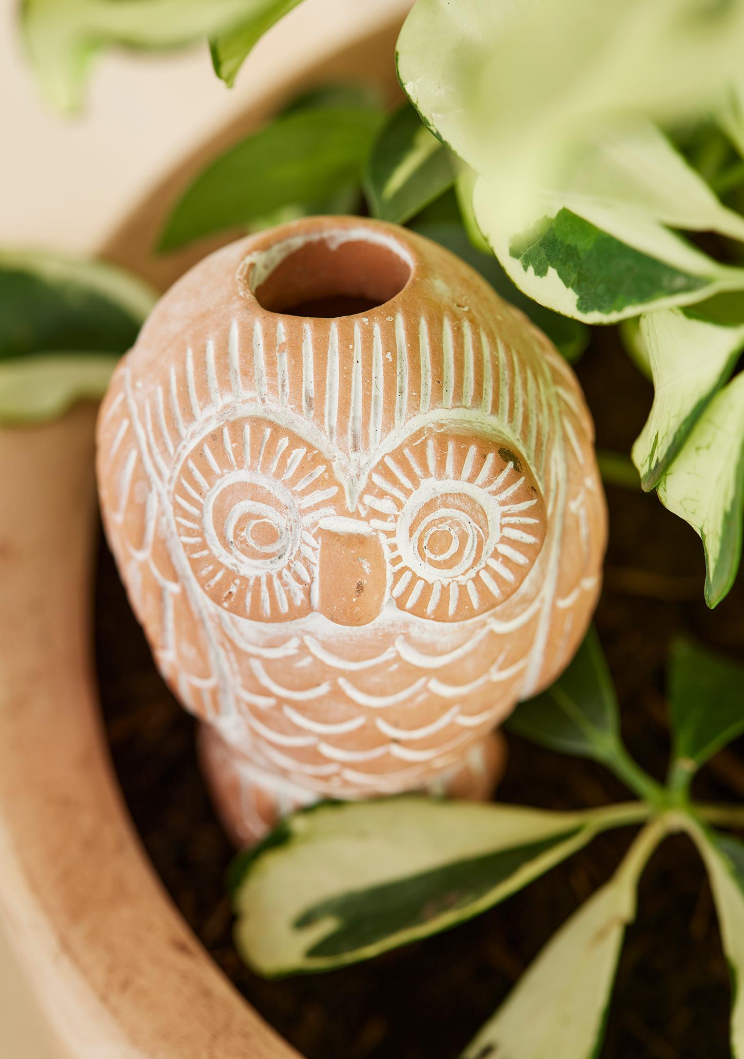 Owl Water Spike, Terracotta Plant Water Spikes, Automatic Watering ...