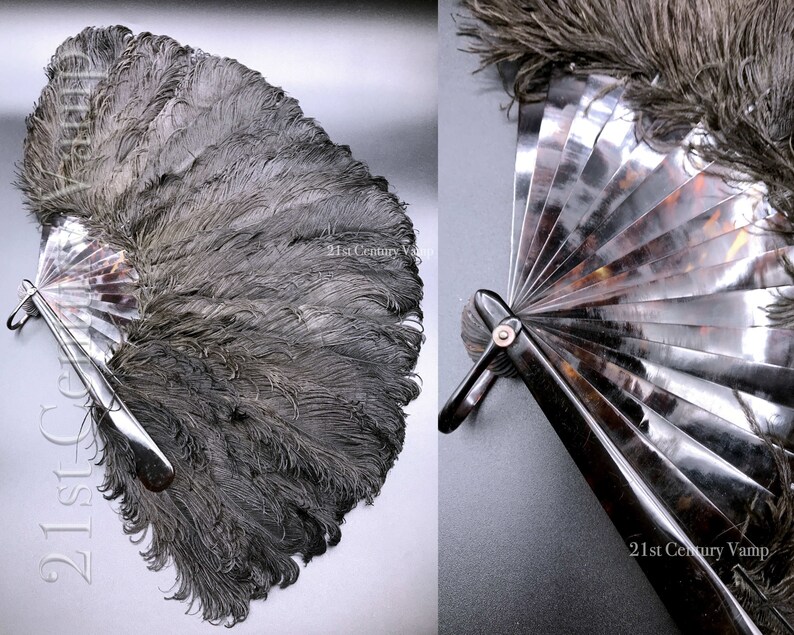 1900 Black Ostrich Feather Fan. Antique Victorian Fan. Large. - Etsy