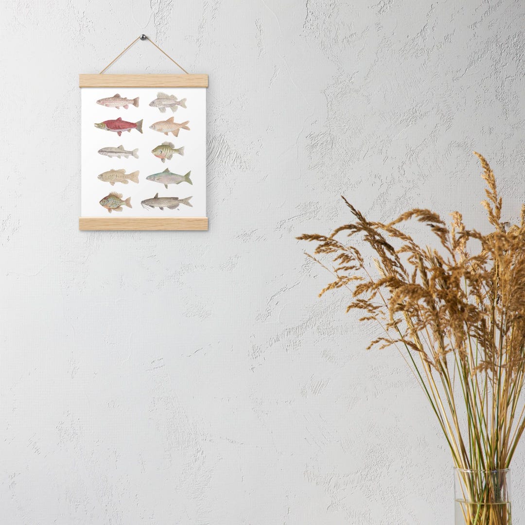 Watercolor Freshwater Fish Poster With Hangers - Etsy