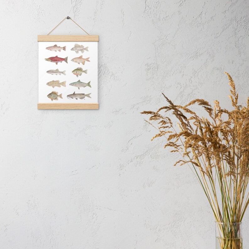 Watercolor Freshwater Fish Poster With Hangers - Etsy
