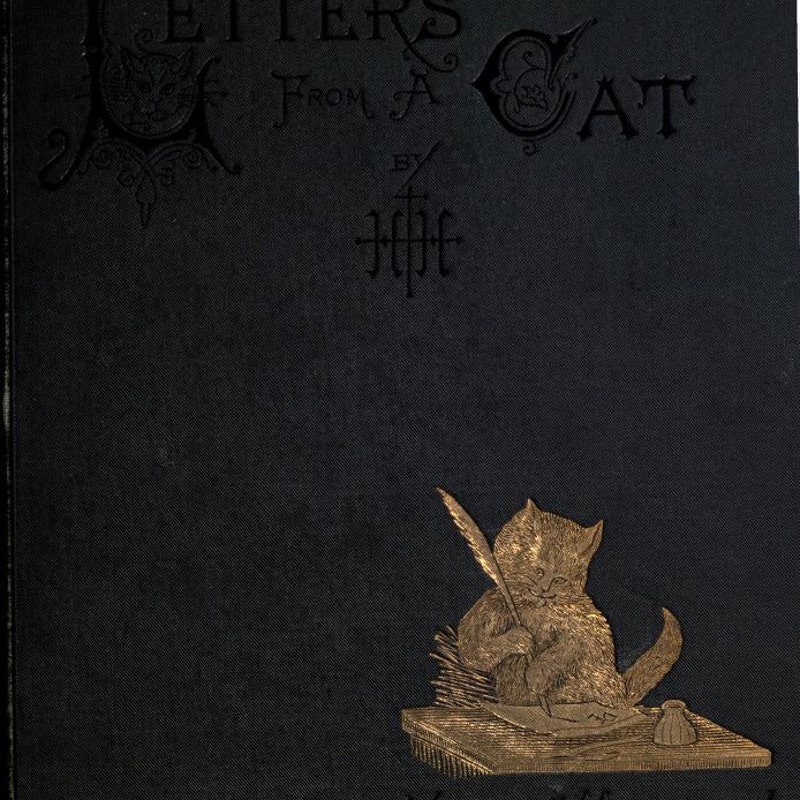 Cat Letters - Etsy