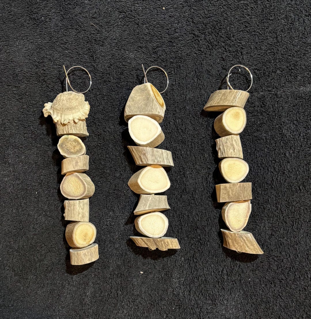 Squirrel Antler Chew Treat: Natural Squirrel Enrichment Toy - Etsy