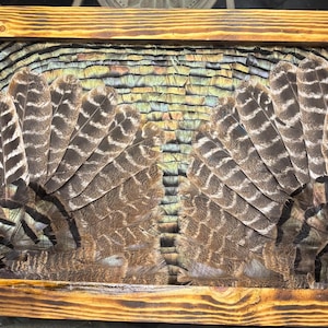 25 1/2" X 16” Wild Turkey Feather Art - Etsy