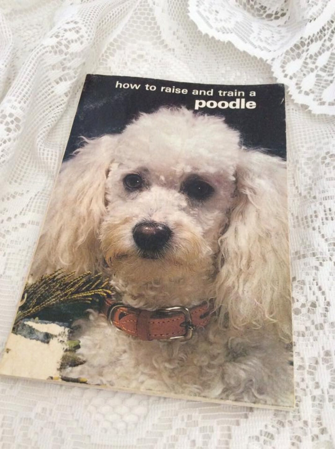 Vintage 1980s Book How to Raise and Train A Poodle Dated 1982 Soft ...