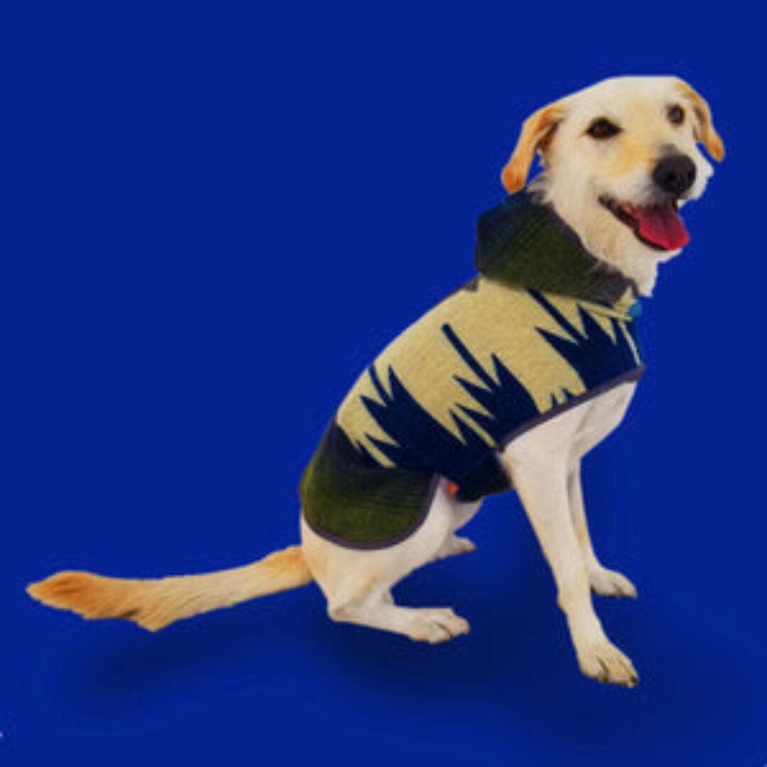Dog Poncho With Hood – Andes Style – Handmade Wool Coat for Small Dogs ...