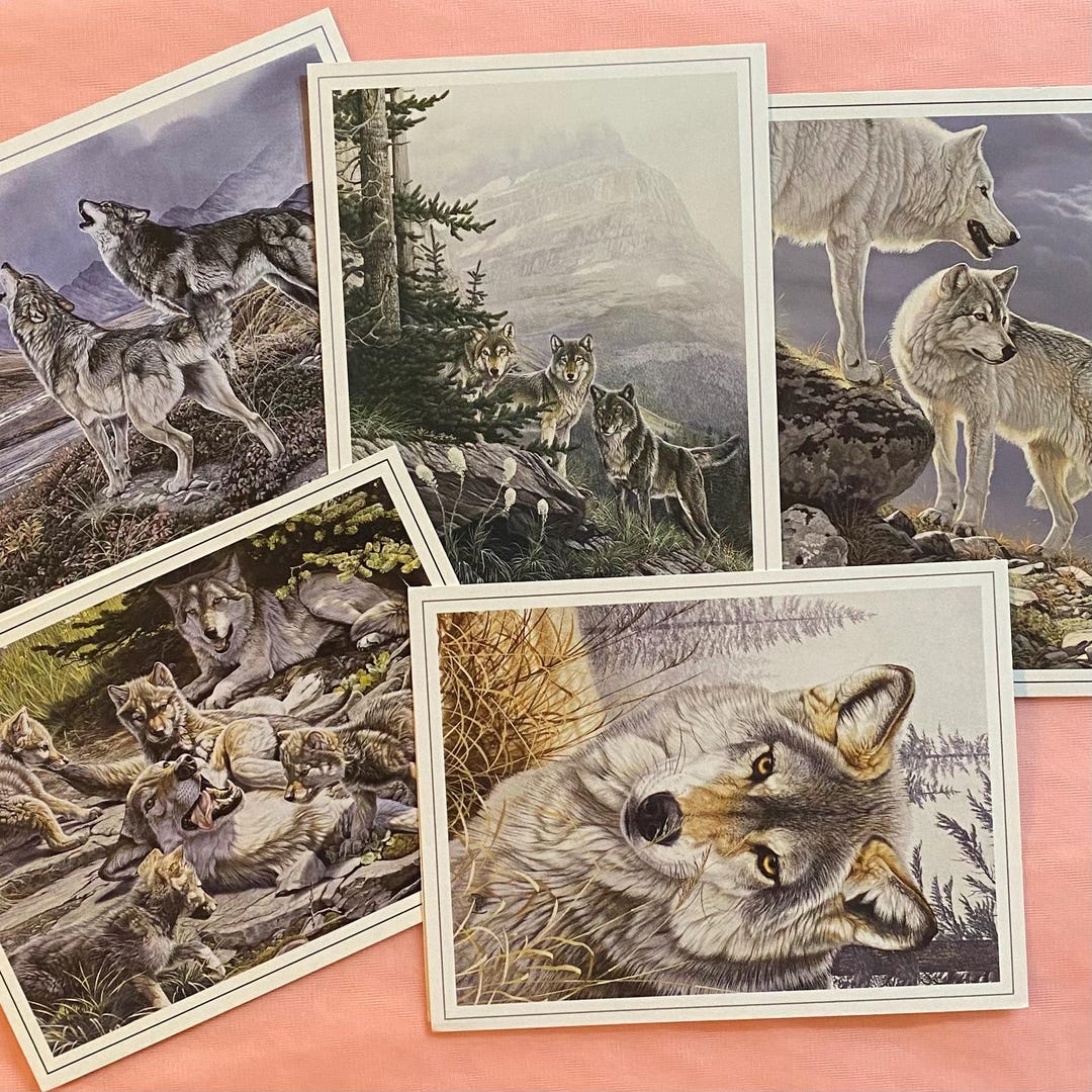 Set of 5 Vintage Greeting Cards, Wolves | Blank Inside, Unused ...