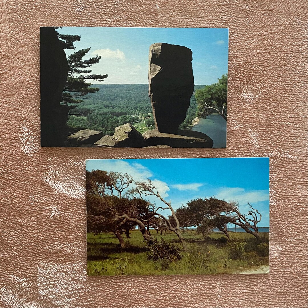 Vintage Nature Postcards | Pen Pals, Postcrossing, Snail Mail ...