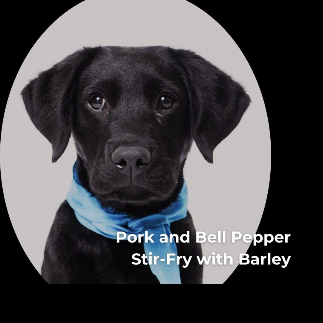Pork & Bell Pepper Stir-fry With Barley – Homemade Dog Food Recipe ...