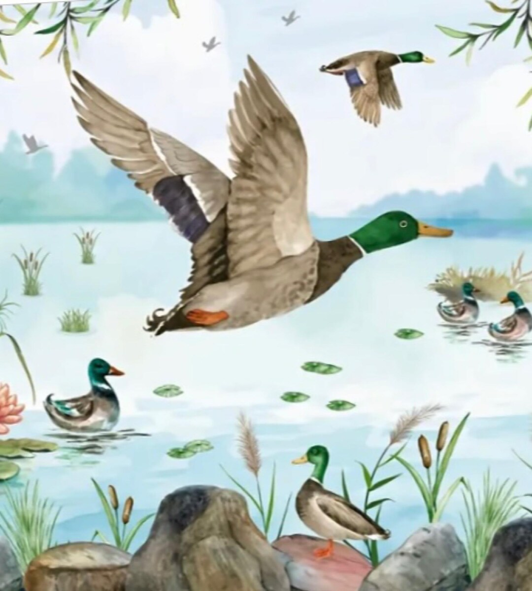 ALMOST FREE SHIPPING 2 Napkins for Decoupage (ducks on a Lake) - Etsy