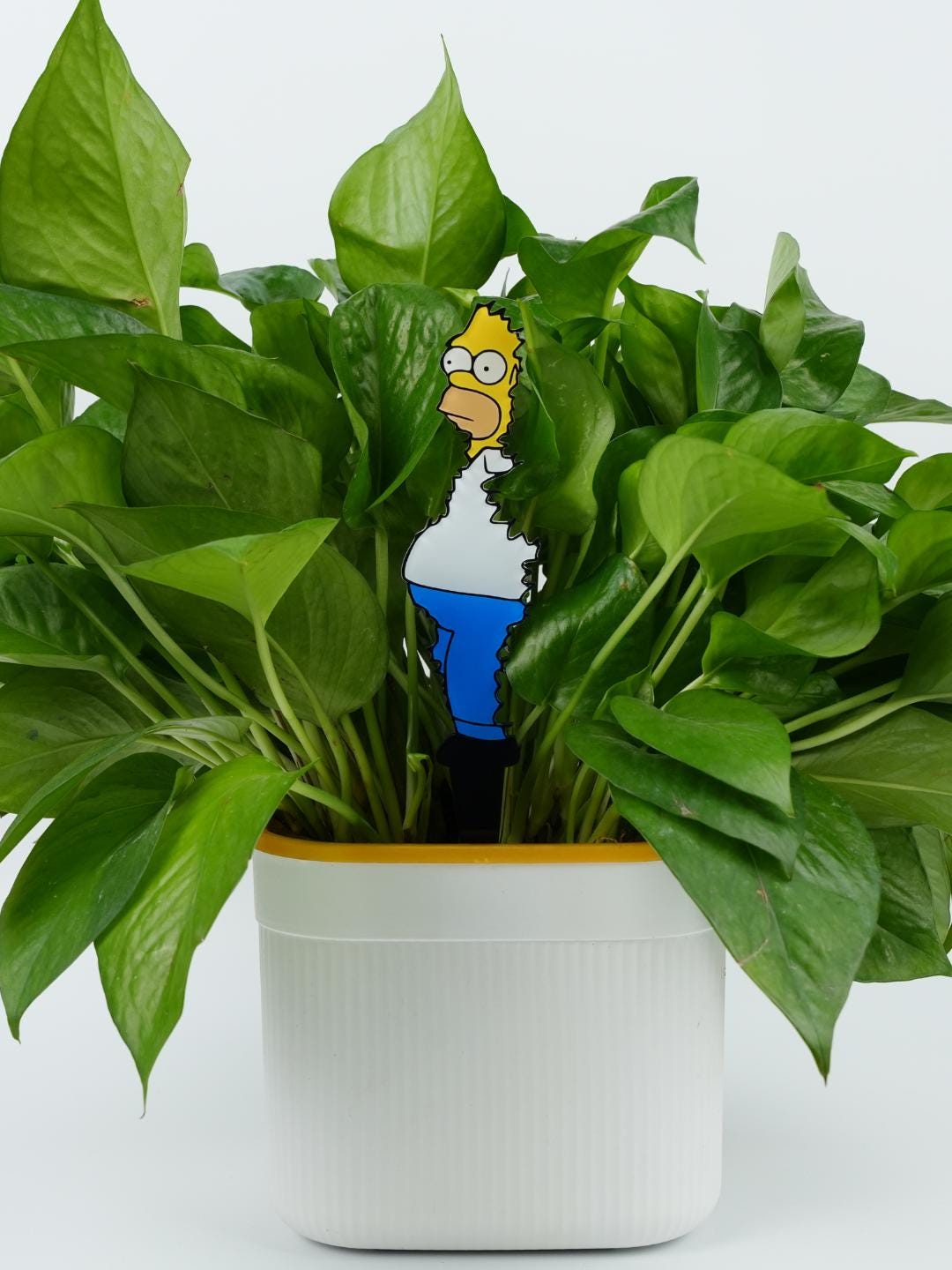 Homer Simpson Bush Meme Plant Stake – Funny Garden Sign | Double-sided ...