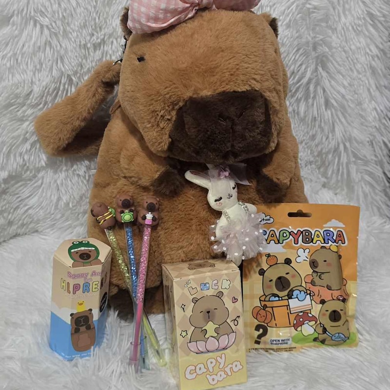 Capybara Blind Bag - Etsy