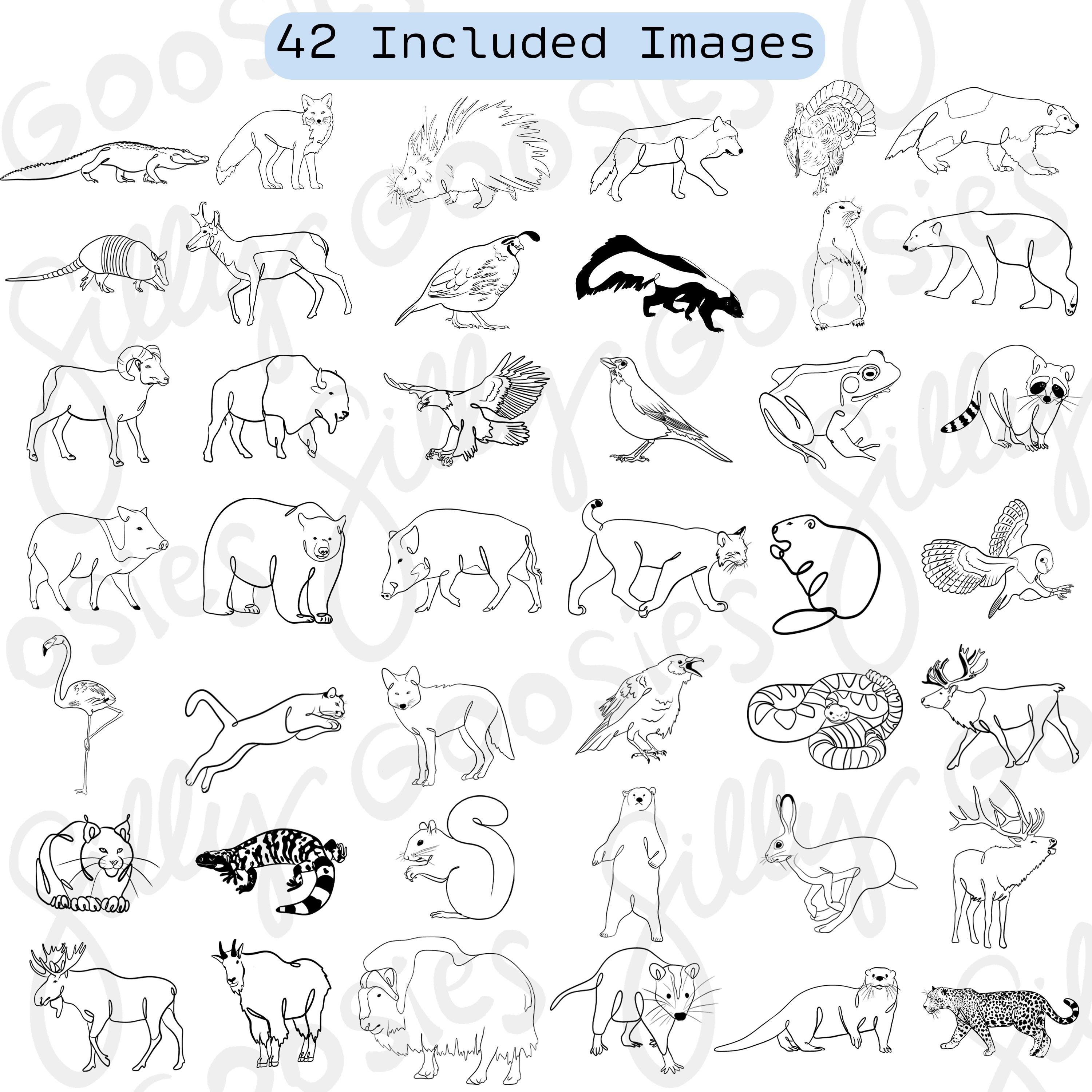 42 North American Animals Clipart | Line Art Wildlife Illustrations ...