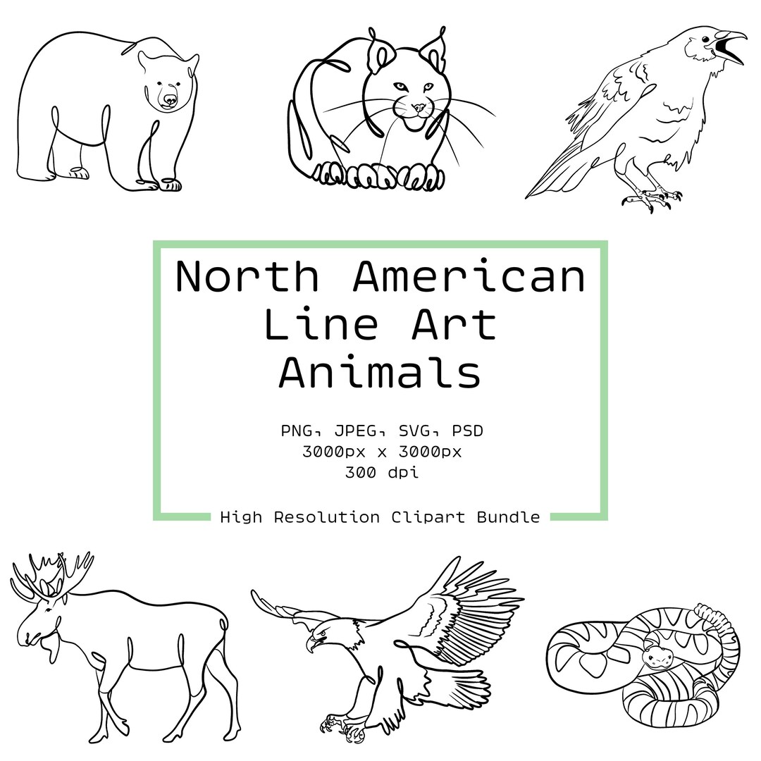 42 North American Animals Clipart | Line Art Wildlife Illustrations ...