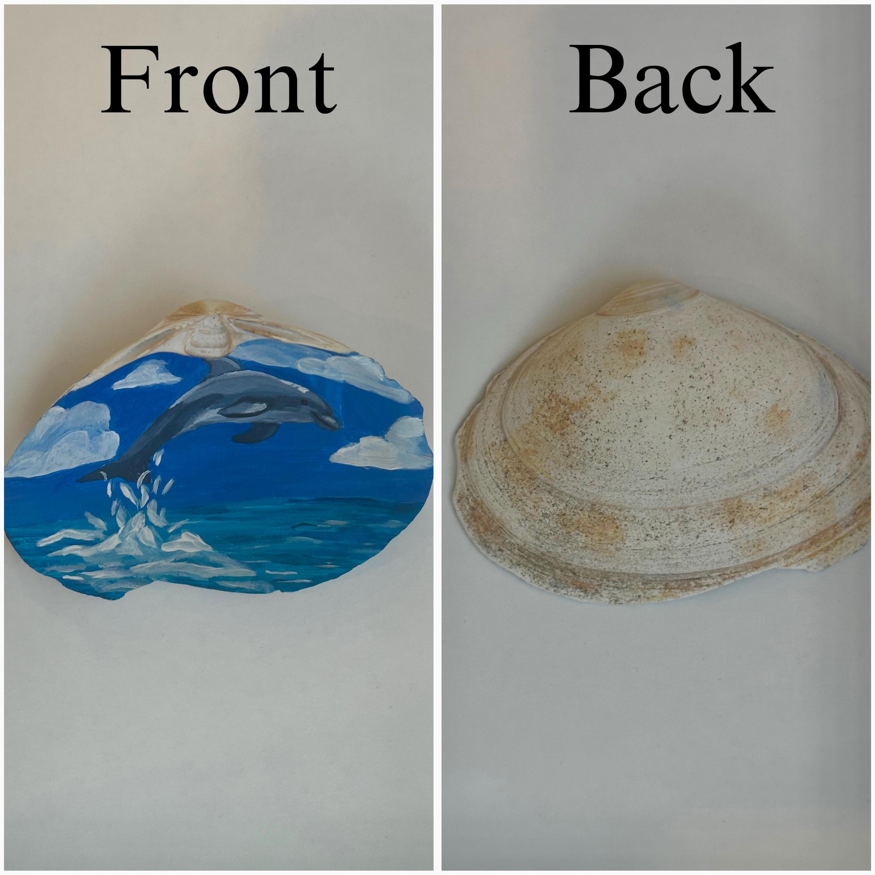 Hand-painted Seashell With Dolphin Design - Beach, Summer Decoration - Etsy