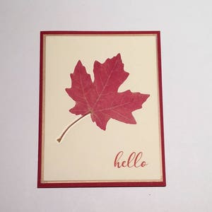 Pressed Fall Maple Leaves Greeting Cards Set of Four Blank - Etsy