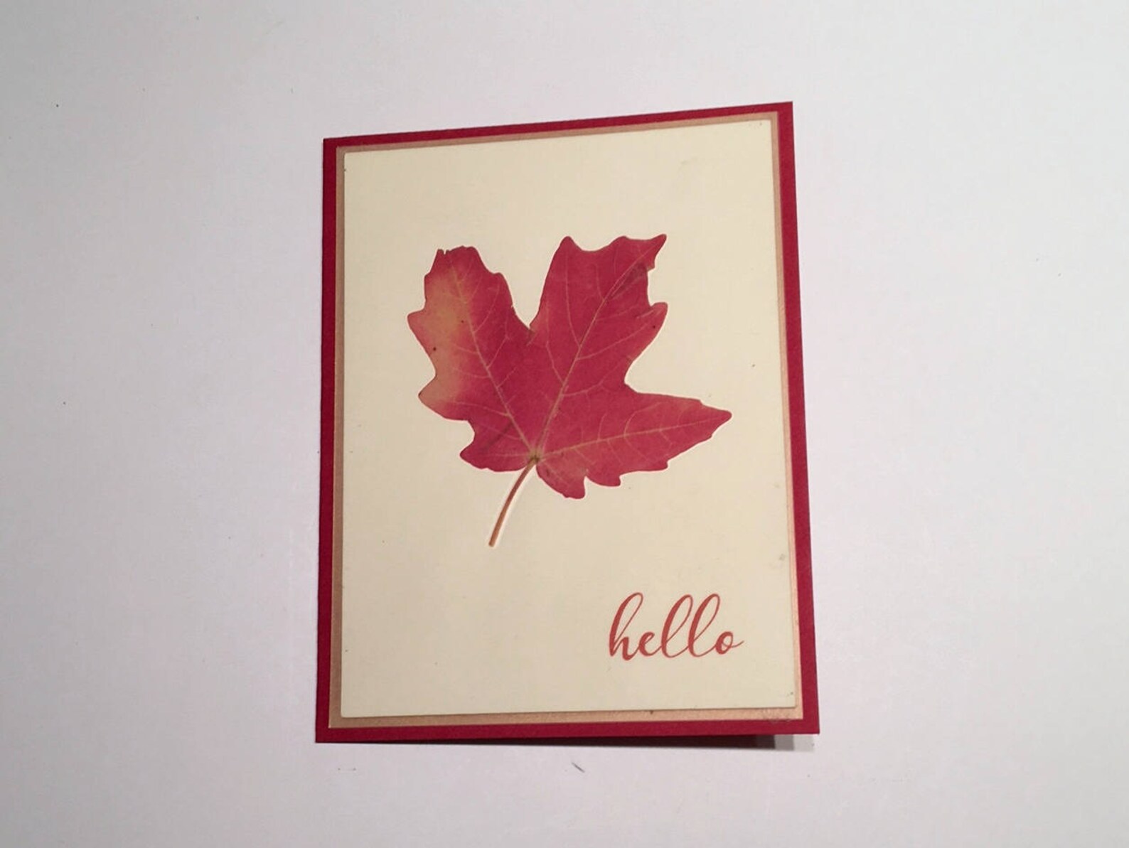 Pressed Fall Maple Leaves Greeting Cards Set of Four Blank | Etsy