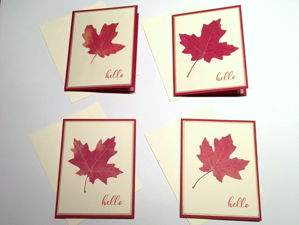 Pressed Fall Maple Leaves Greeting Cards Set of Four Blank | Etsy