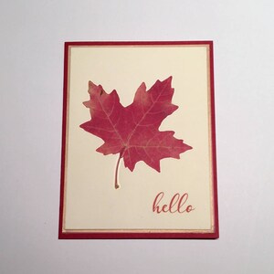 Pressed Fall Maple Leaves Greeting Cards Set of Four Blank - Etsy