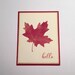 Pressed Fall Maple Leaves Greeting Cards Set of Four Blank - Etsy