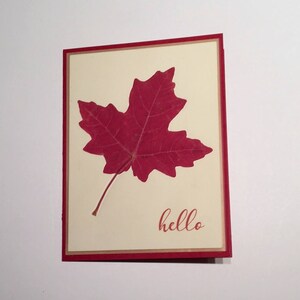 Pressed Fall Maple Leaves Greeting Cards Set of Four Blank - Etsy