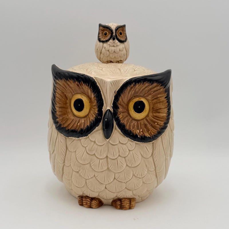 Cookie Jar Ceramic Owl - Etsy