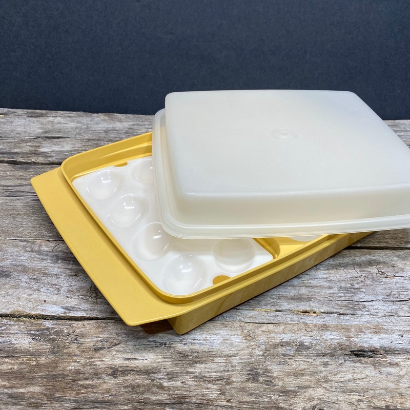 Deviled Egg Carrier - Etsy